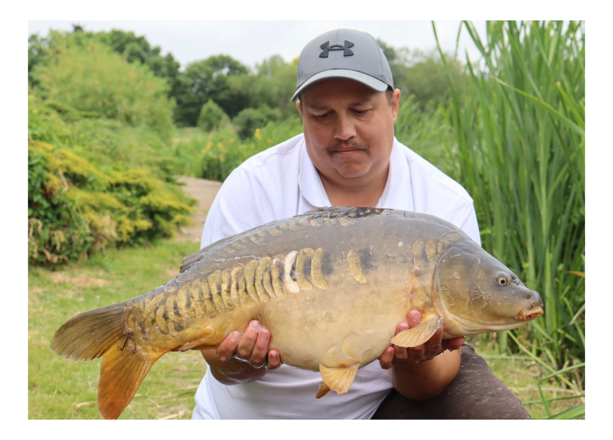 Lovely Linear | Total Carp